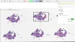 PathPresenter | PPTX