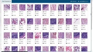 PathPresenter | PPTX