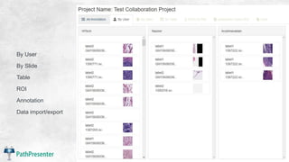 PathPresenter | PPTX