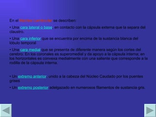 NúCleo Lenticular | PPT
