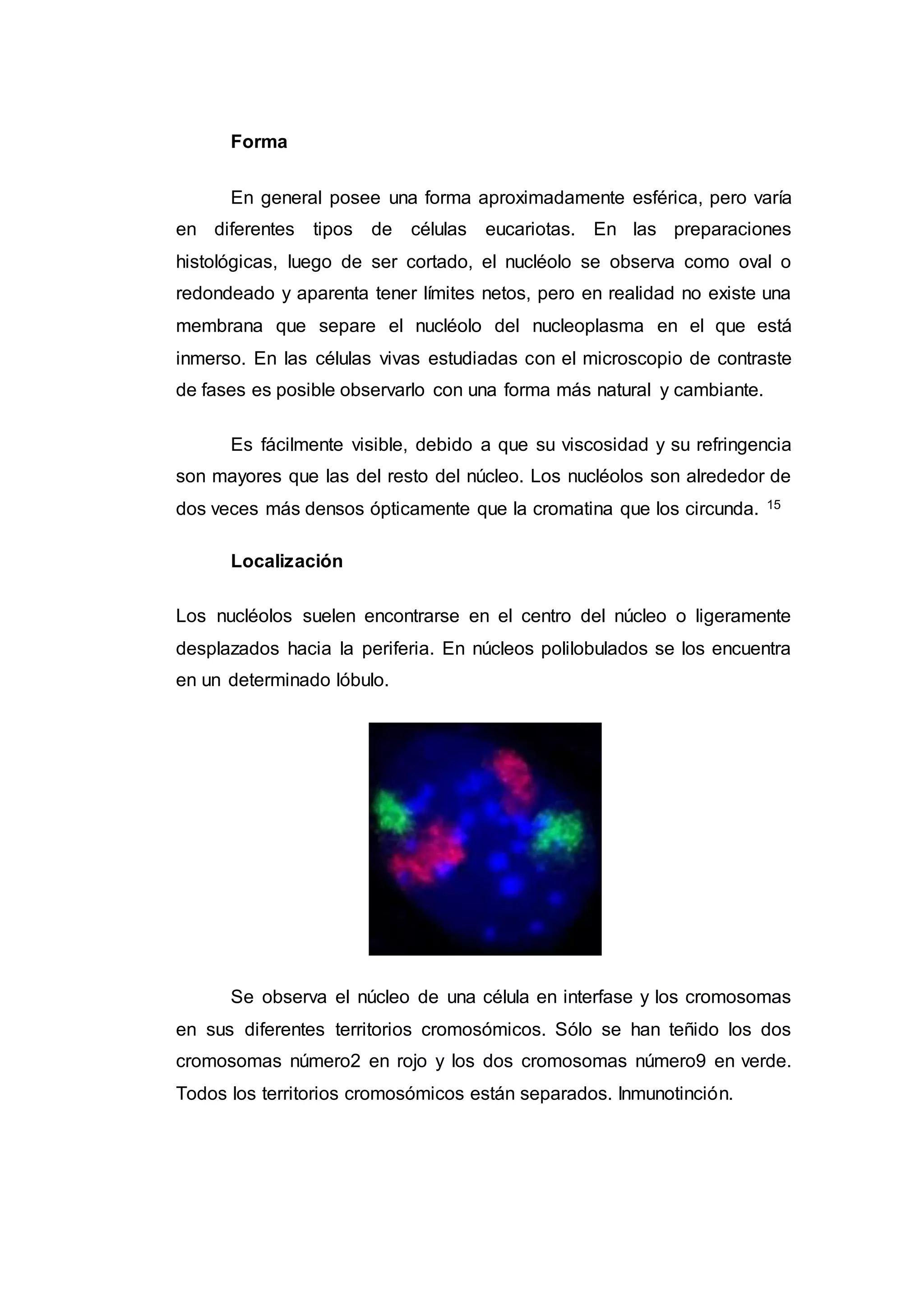 Núcleo celular | PDF