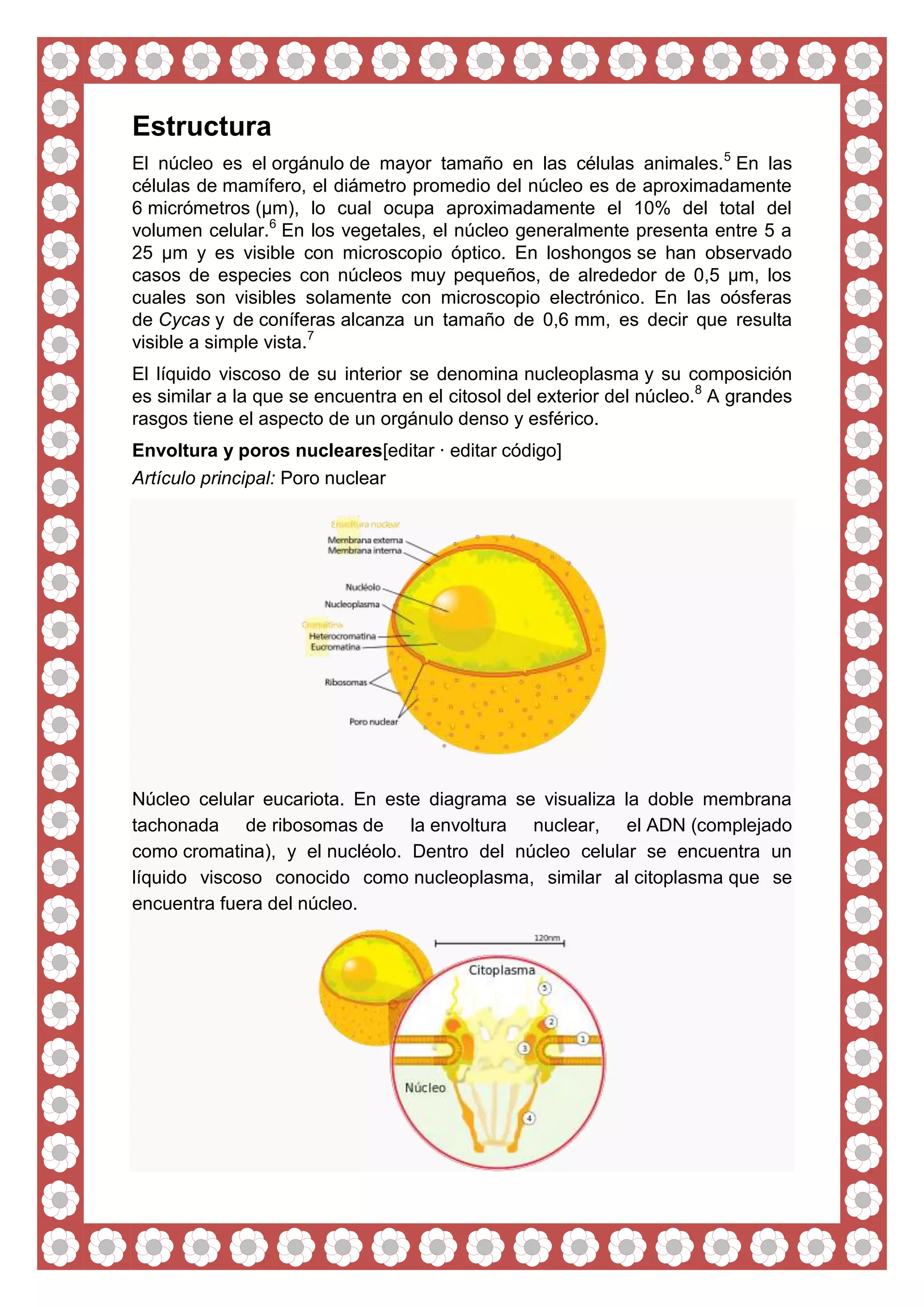 Núcleo celular de joselyn | PDF
