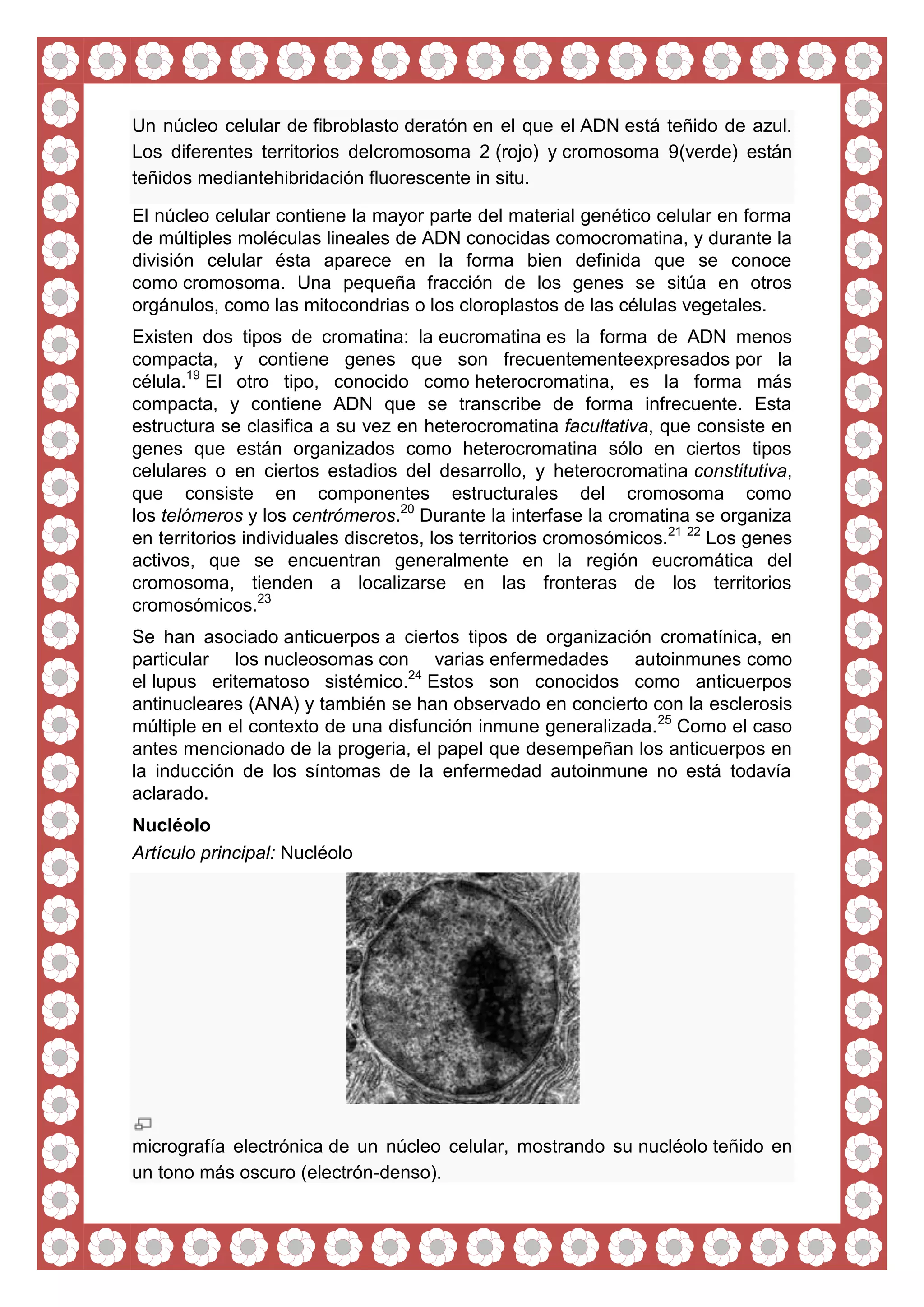 Núcleo celular de joselyn | PDF