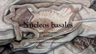Núcleos basales .pptx