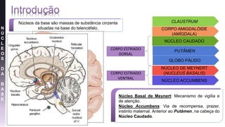Núcleos da base | PPTX