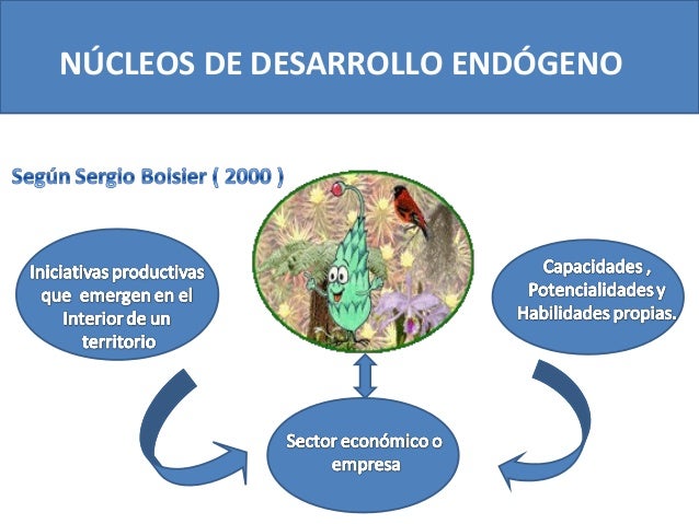 Núcleos de desarrollo endógeno y liderazgo