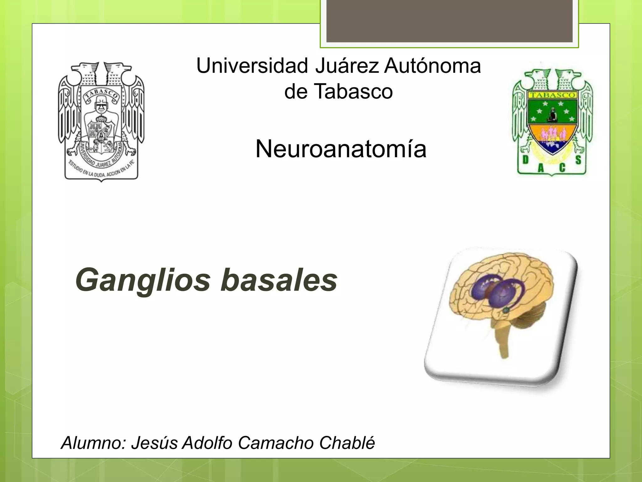 Núcleos de la base | PPTX