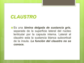Núcleos de la base | PPTX