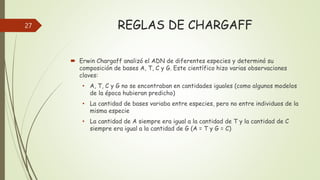 NÚCLEO Y CROMOSOMAS - DESCRUBRIMIEANTO DE LA ESTRUCTURA DEL ADN | PPTX