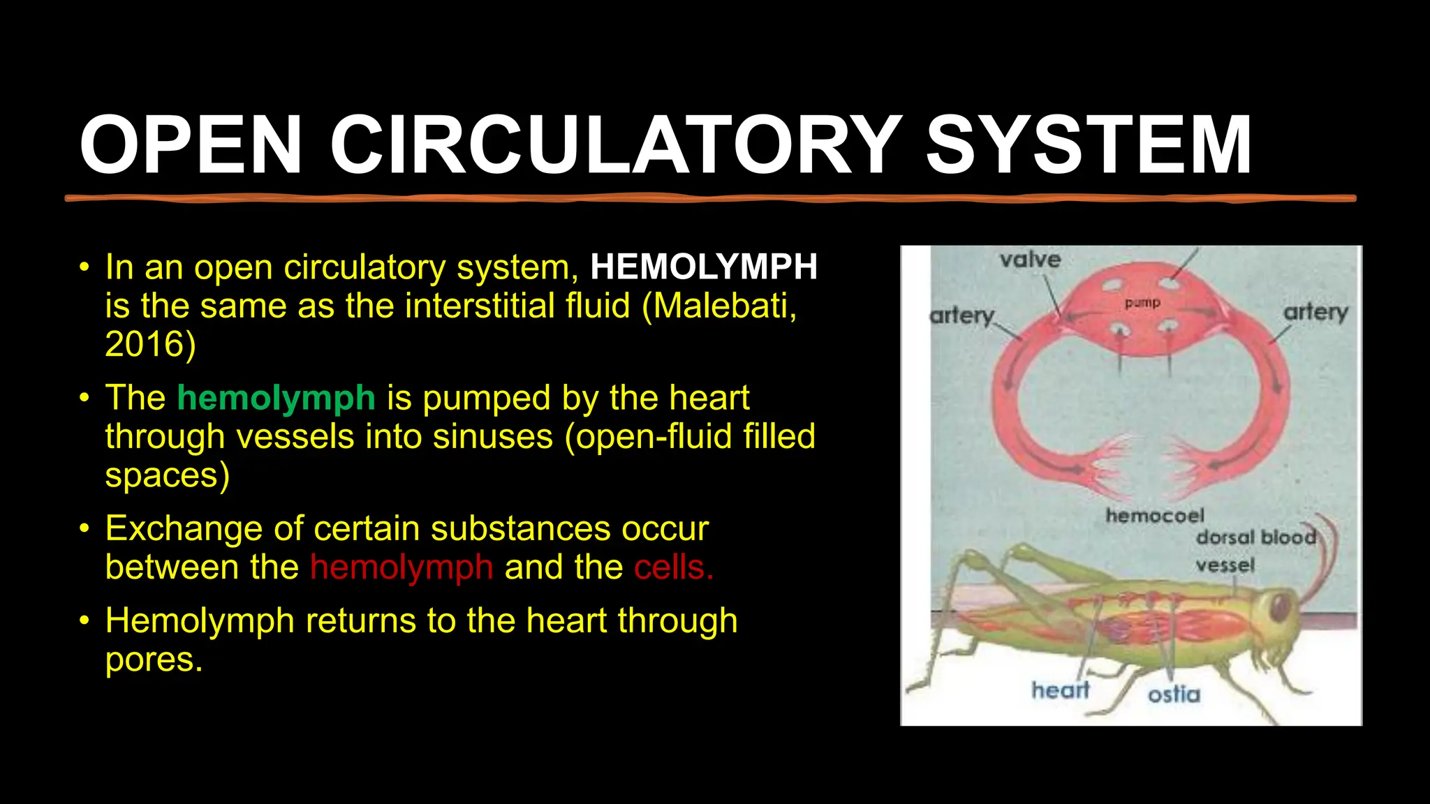 NCL TST3B POWERPOINT PRESENTATION ASSIGN | PPT