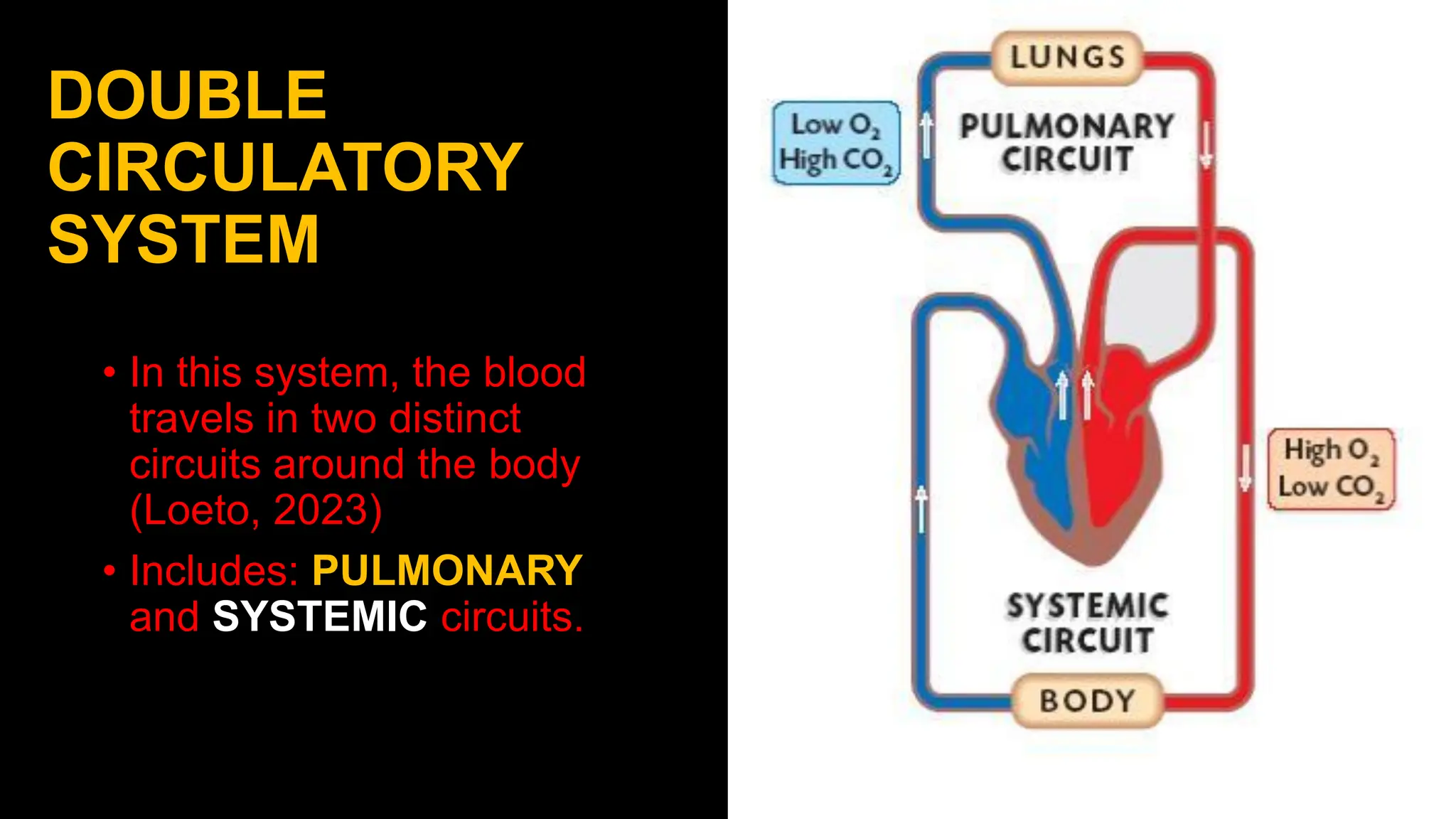 NCL TST3B POWERPOINT PRESENTATION ASSIGN | PPT