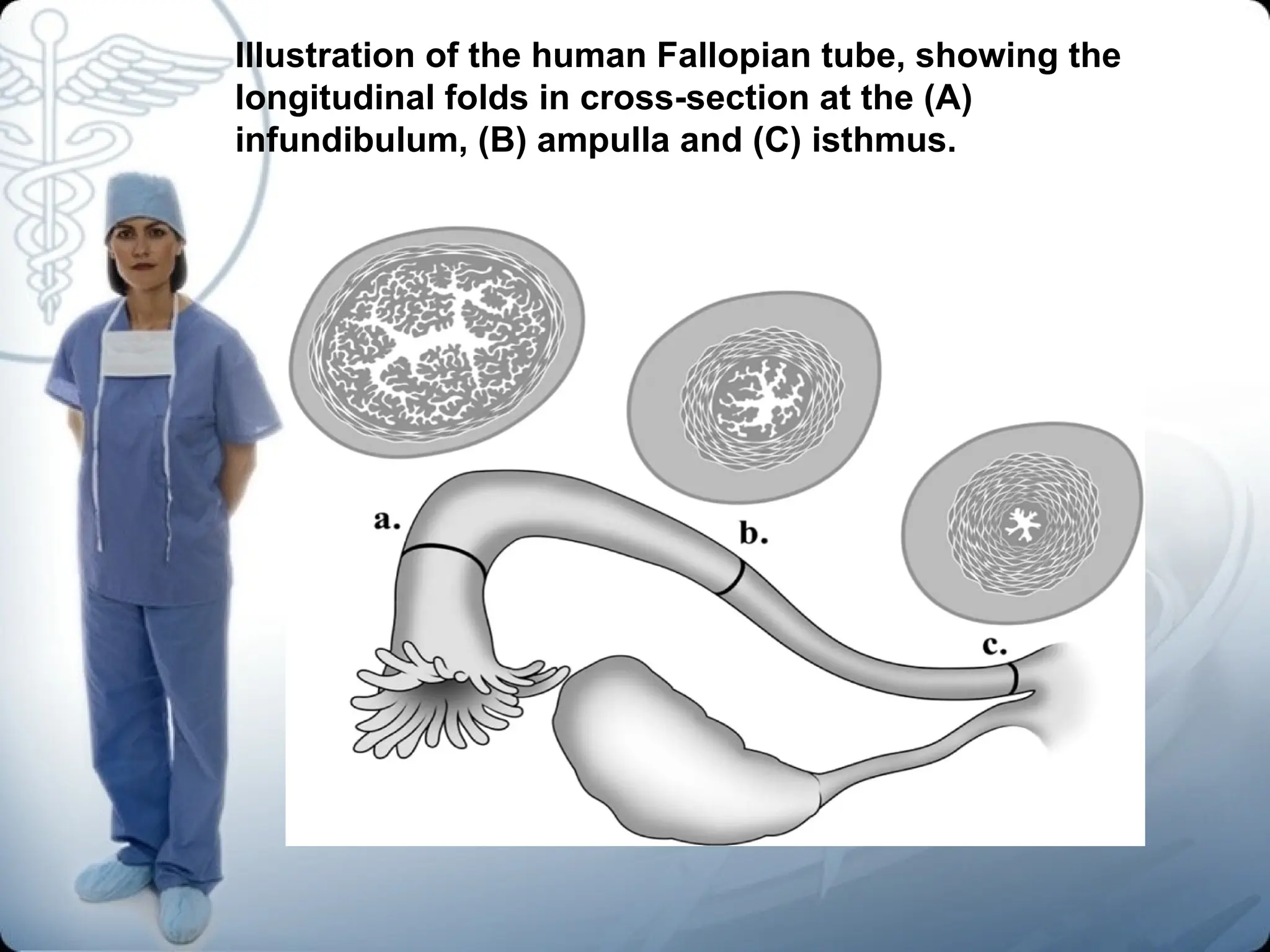 NCM-107-A-1st-sem-2024-2025-1st-ppt.pptx