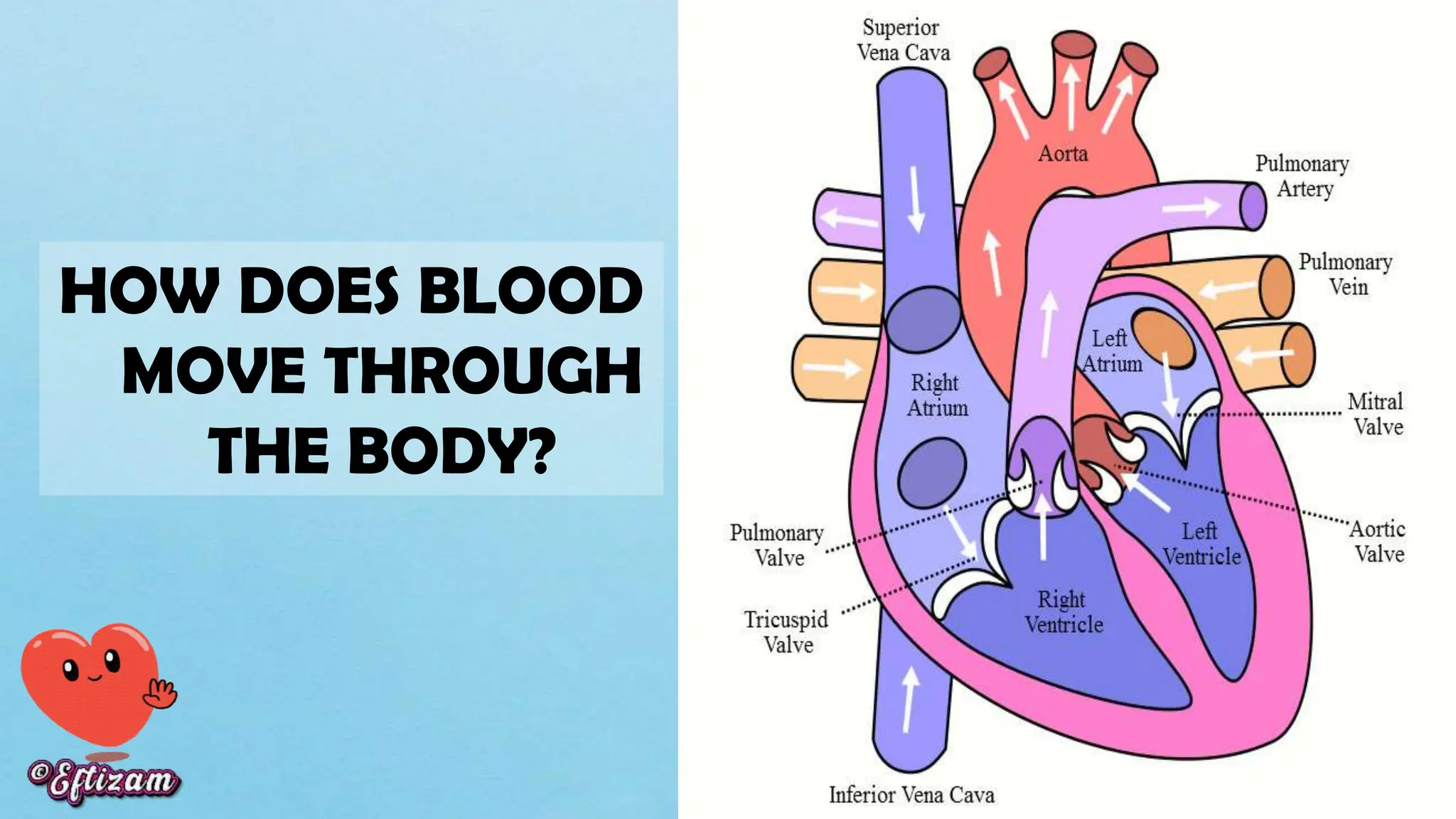 NCM-118-7-PERFUSION (Nursing Care of Clients with Altered Tissue ...