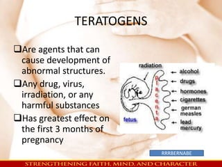 FETAL GROWTH AND DEVELOPMENT AND THE EFFECTS OF TERATOGENS | PPTX ...