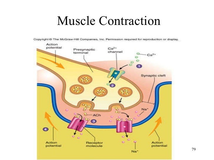 FLUIDS AND ELECTROLYTE IMBALANCE