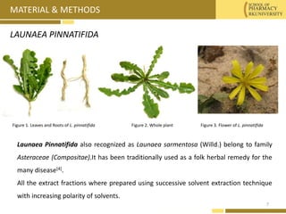 Antioxidant potential of various fractions of Launaea pinnatifida ...