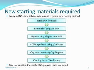 Call for non-coding mRNA resource | PPT