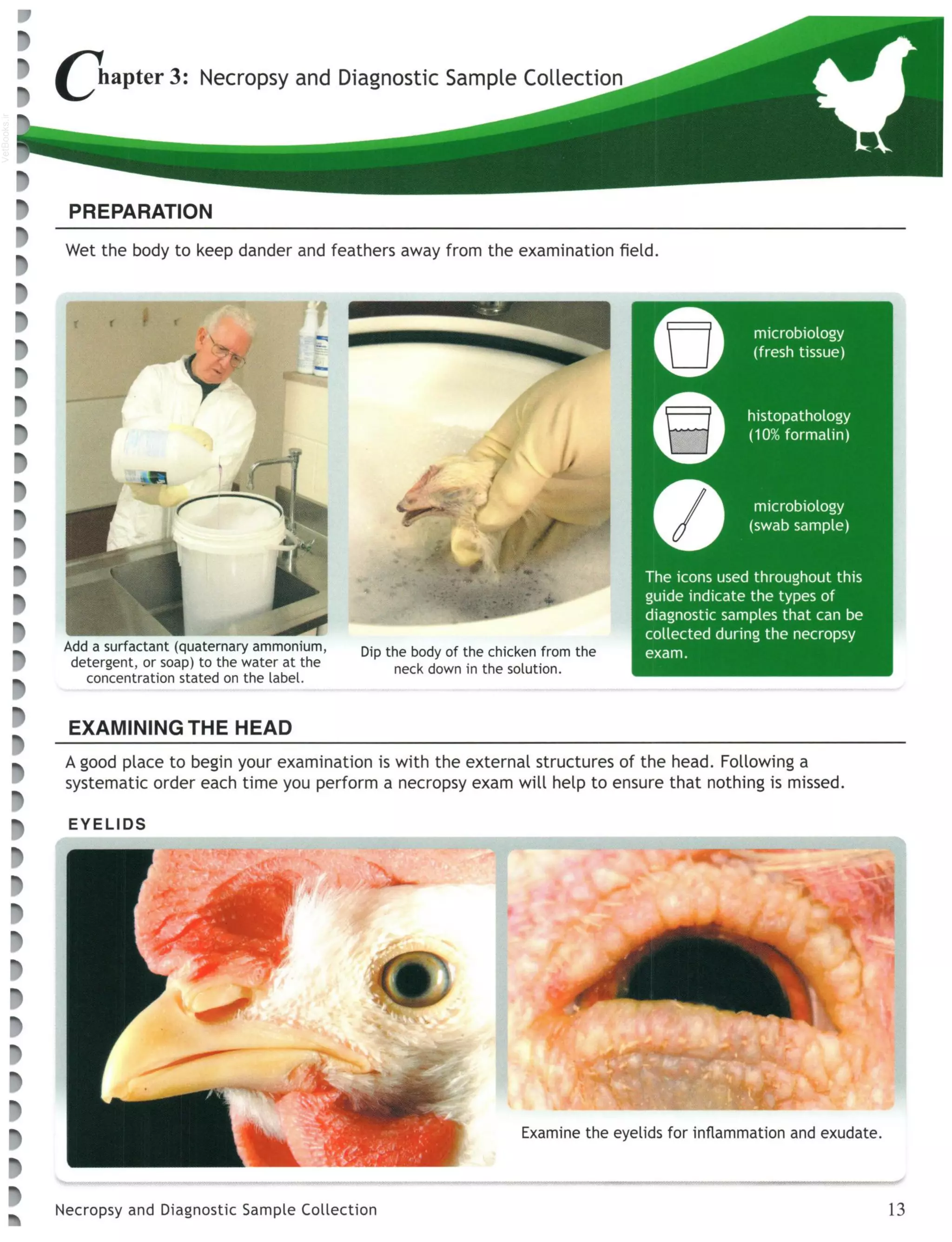 Illustrated Guide to Poultry Necropsy and Diagnosis | PDF