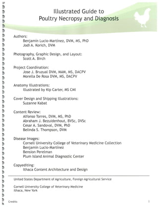 Illustrated Guide to Poultry Necropsy and Diagnosis | PDF