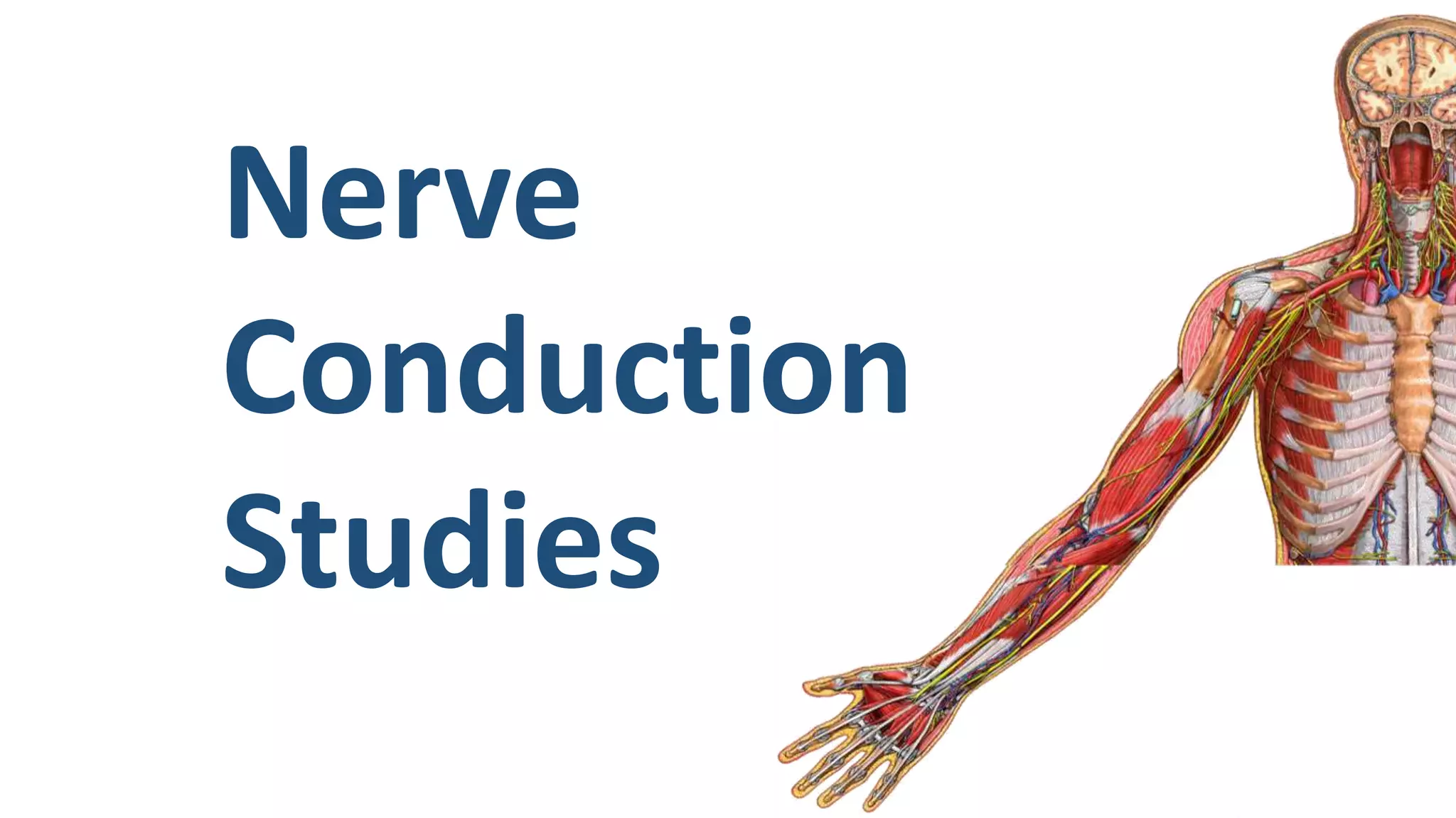 Nerve conduction studies | PPSX