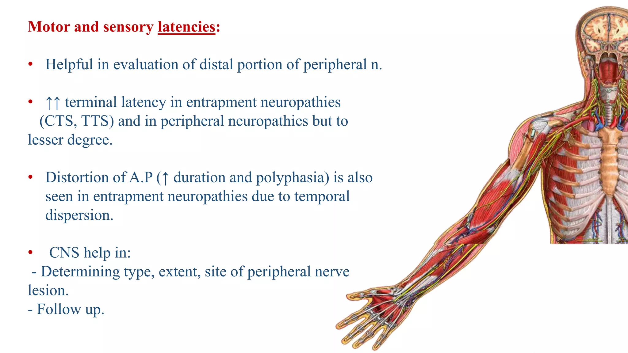Nerve conduction studies | PPSX
