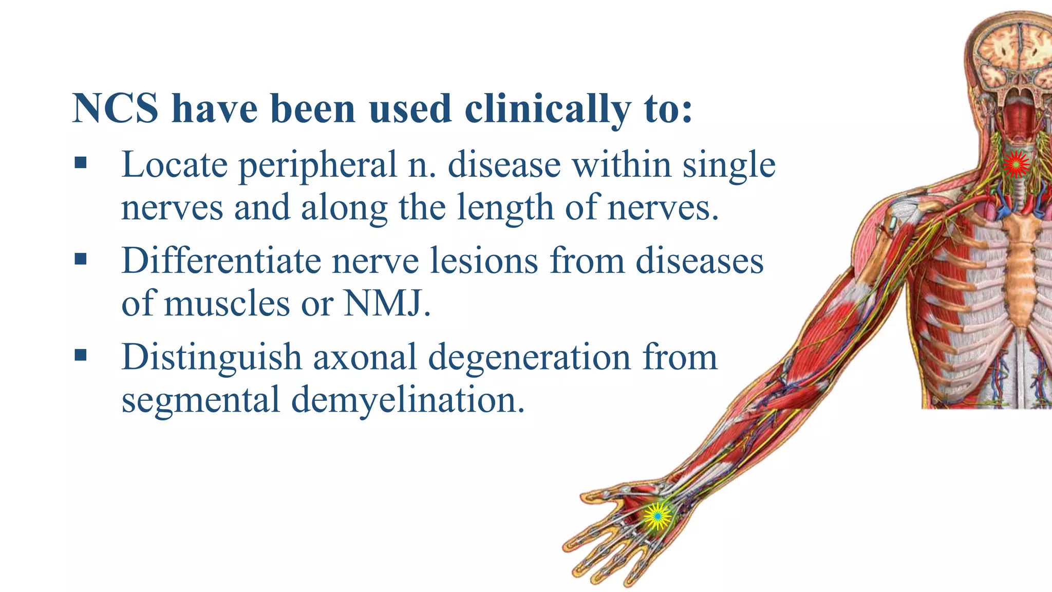 Nerve conduction studies | PPSX