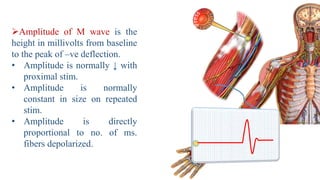 Nerve conduction studies | PPSX