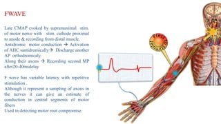Nerve conduction studies | PPSX