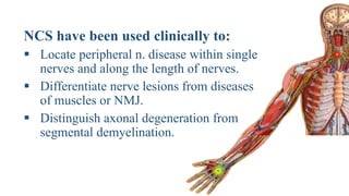 Nerve conduction studies | PPSX