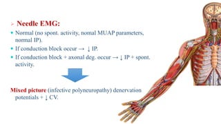 Nerve conduction studies | PPSX
