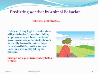 Project Ideas for School students on Weather & Climate | PPTX