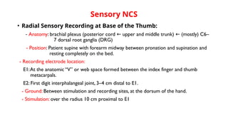 Nerve conduction studies second presentation | PPTX