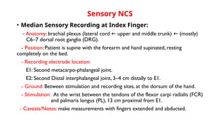 Nerve conduction studies second presentation | PPTX