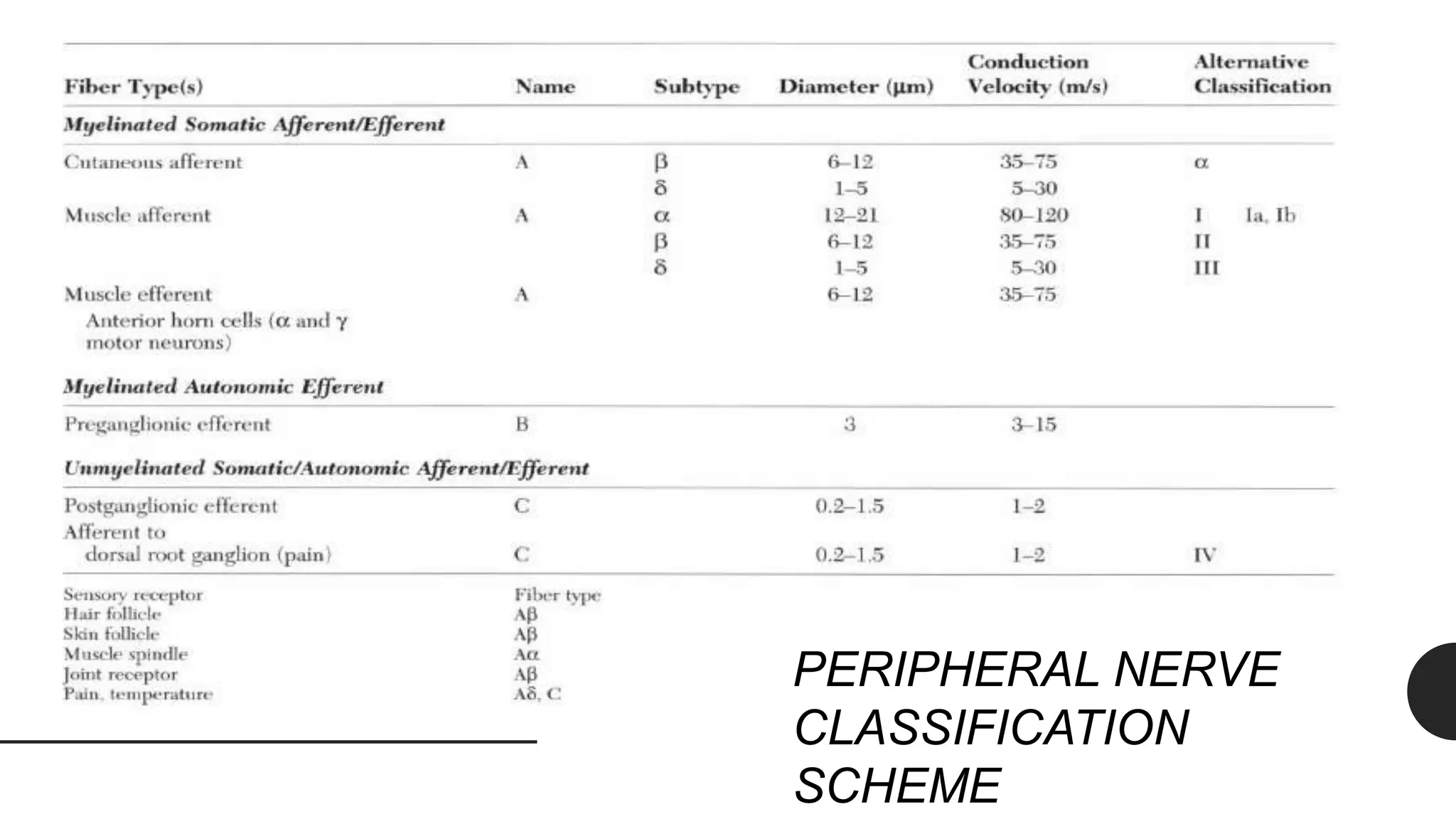 NERVE CONDUCTION STUDIES, ELECTROMYOGRAPHY | PPTX
