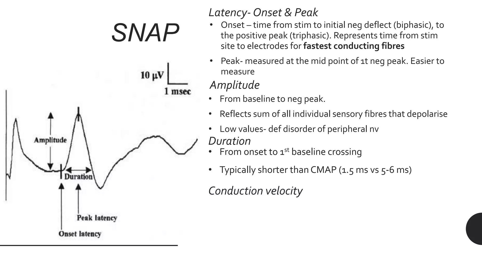 NERVE CONDUCTION STUDIES, ELECTROMYOGRAPHY | PPTX