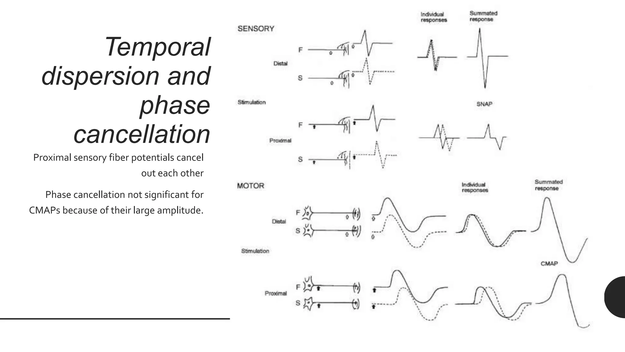 NERVE CONDUCTION STUDIES, ELECTROMYOGRAPHY | PPTX