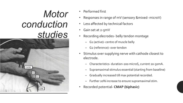 NERVE CONDUCTION STUDIES, ELECTROMYOGRAPHY | PPTX | Brain and Nervous ...