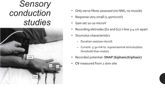 NERVE CONDUCTION STUDIES, ELECTROMYOGRAPHY | PPTX | Brain and Nervous ...