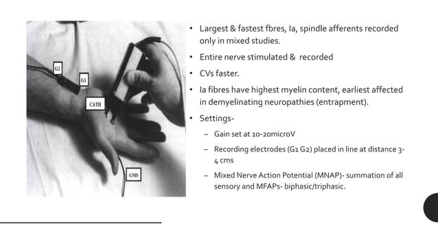 NERVE CONDUCTION STUDIES, ELECTROMYOGRAPHY | PPTX | Brain and Nervous ...