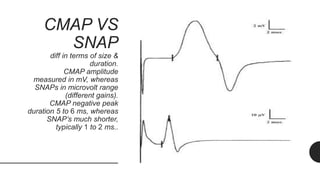 NERVE CONDUCTION STUDIES, ELECTROMYOGRAPHY | PPT
