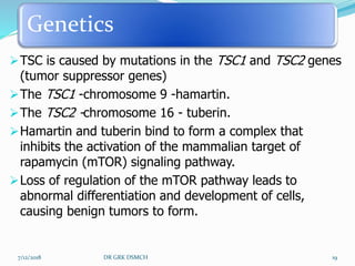 Neurocutaneous syndrome DR GRK | PPTX