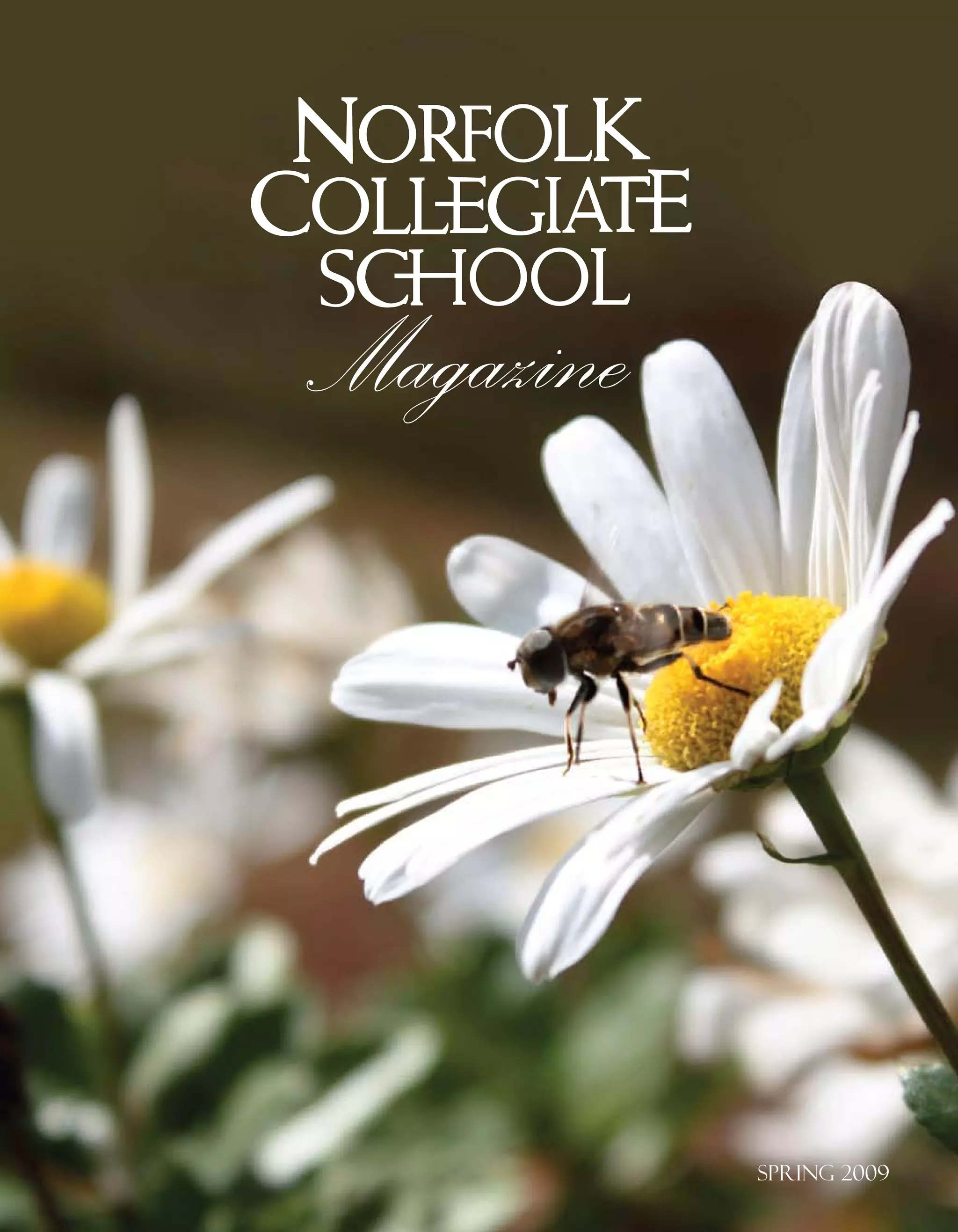 Norfolk Collegiate School Spring 2009 | PDF
