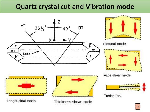 Electrochemical Quartz Crystal Microbalance