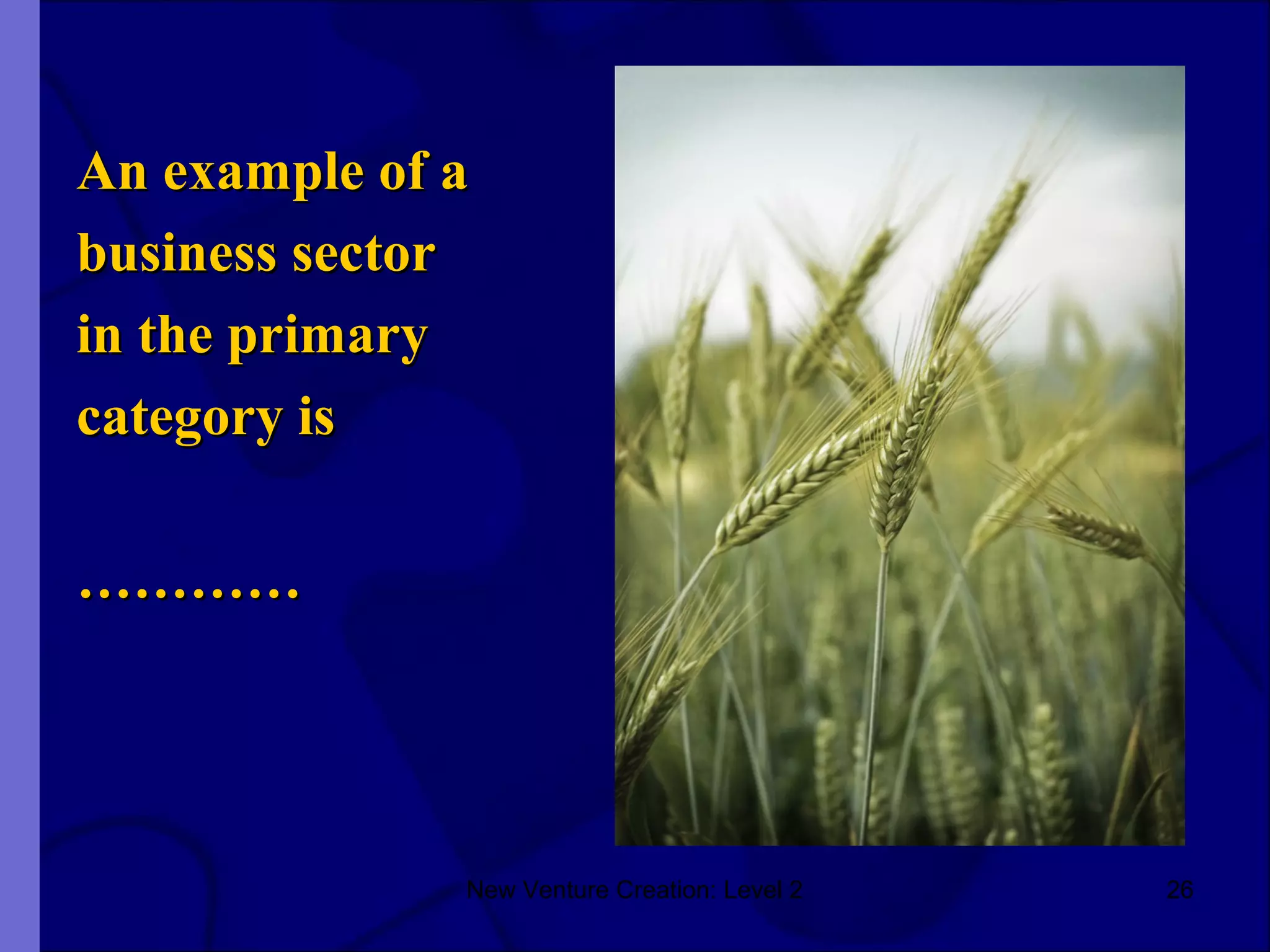 NCV 2 New Venture Creation Hands-On Support Slide Show (Module 1) | PPT