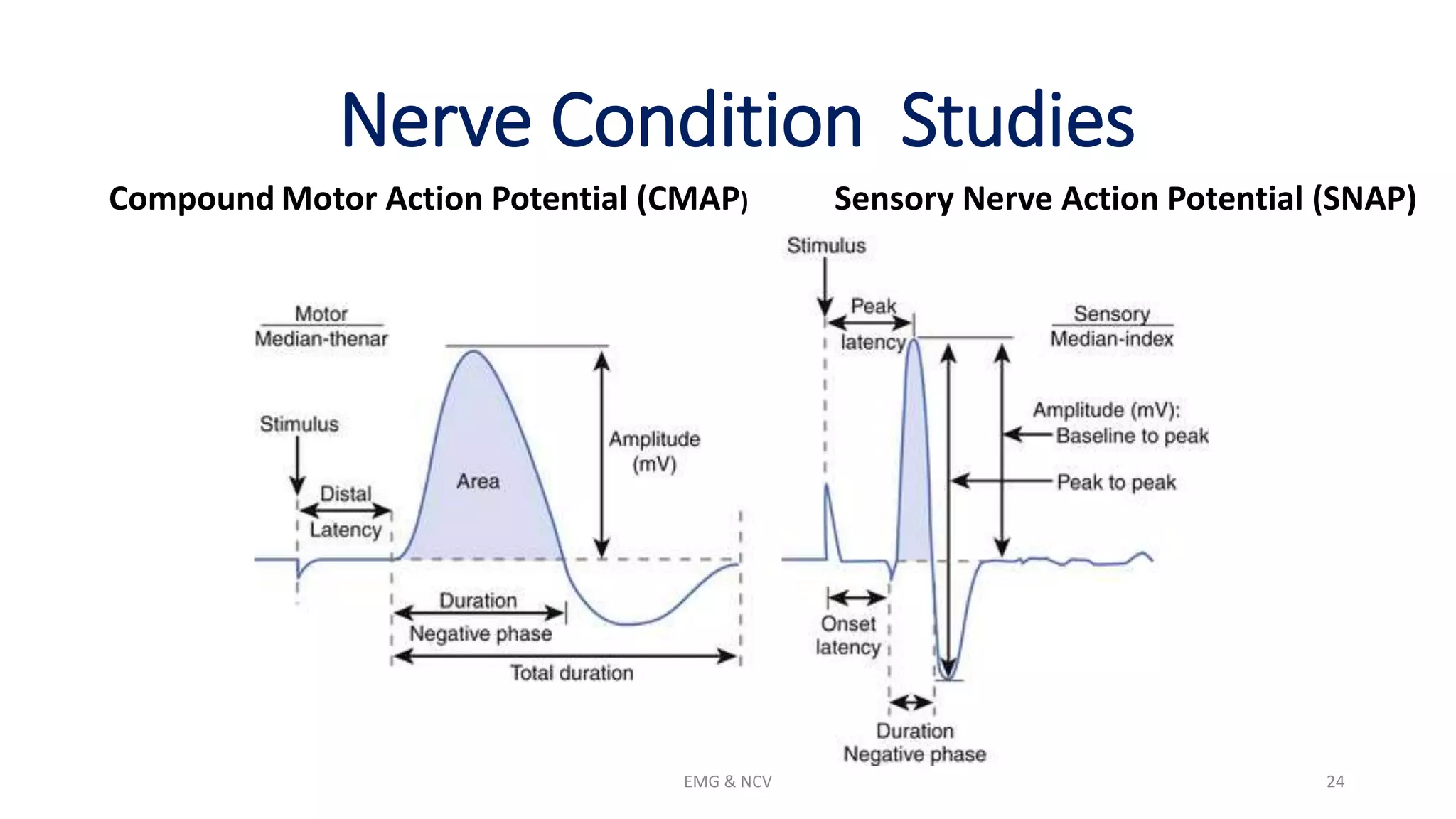 NCV and EMG.pptx