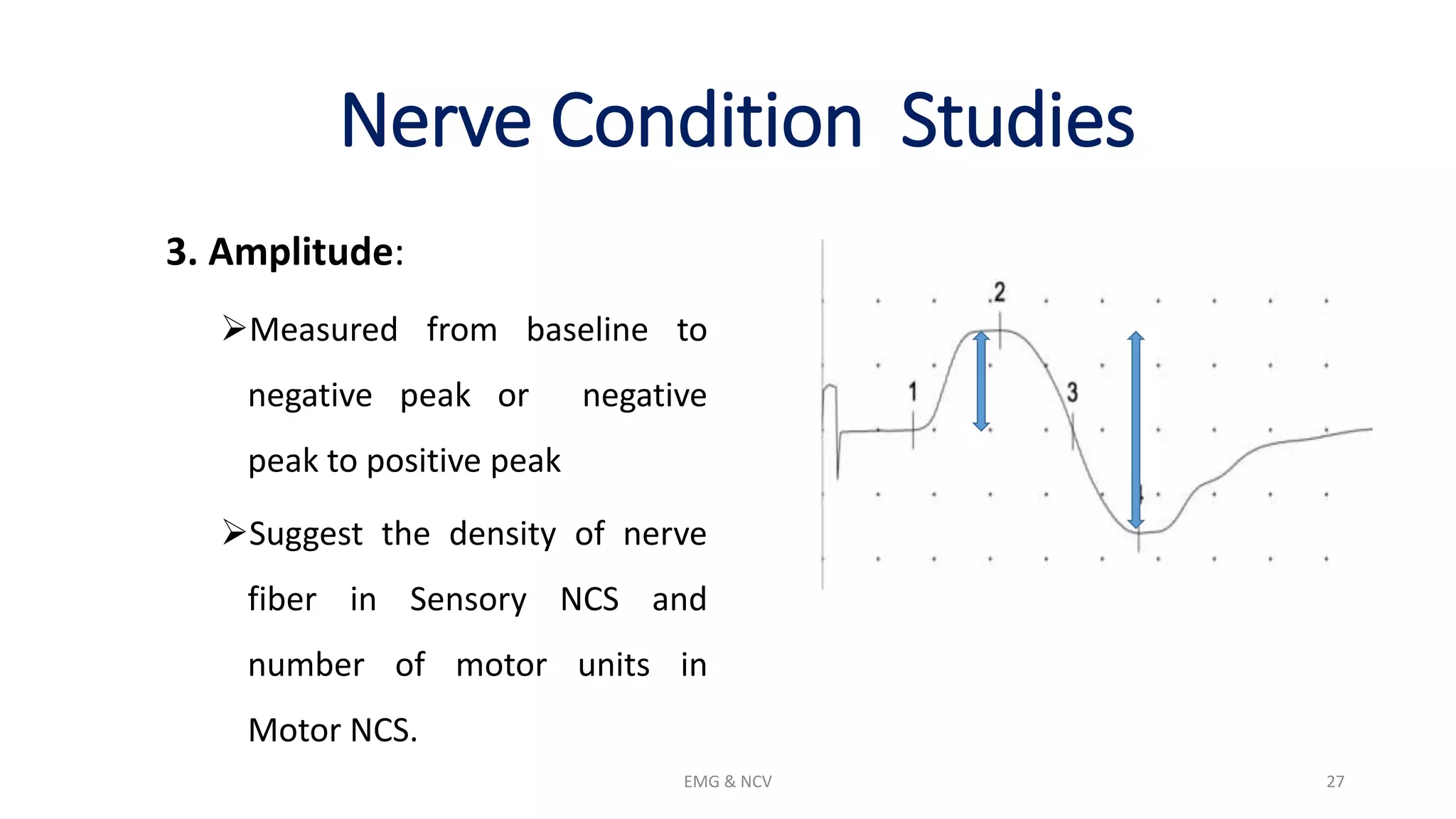 NCV and EMG.pptx
