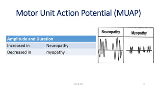 NCV and EMG.pptx