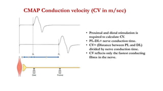 Ncv formula | PPT