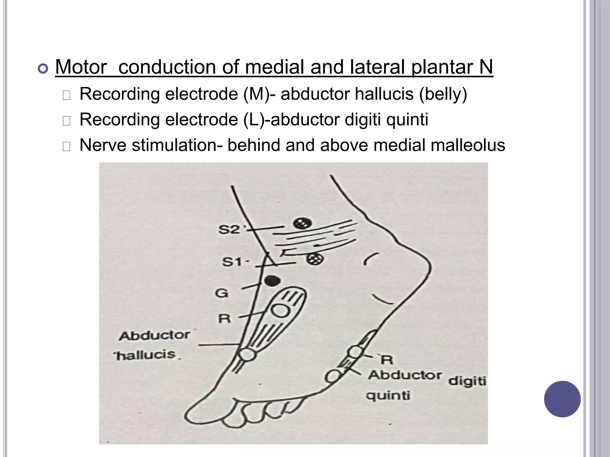 Nerve Conduction Studies- Lower Leg | PPTX