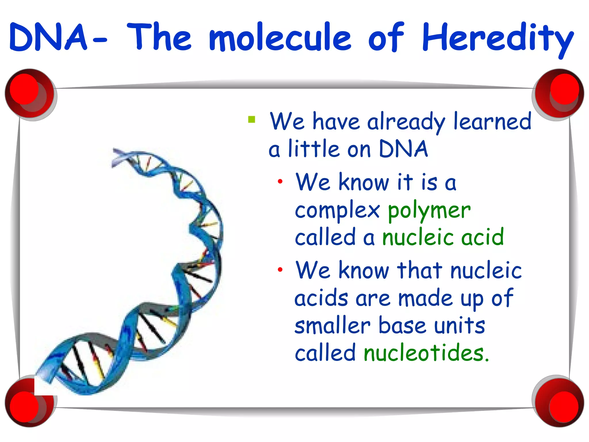 Ncvps bcr dna structure | PPT